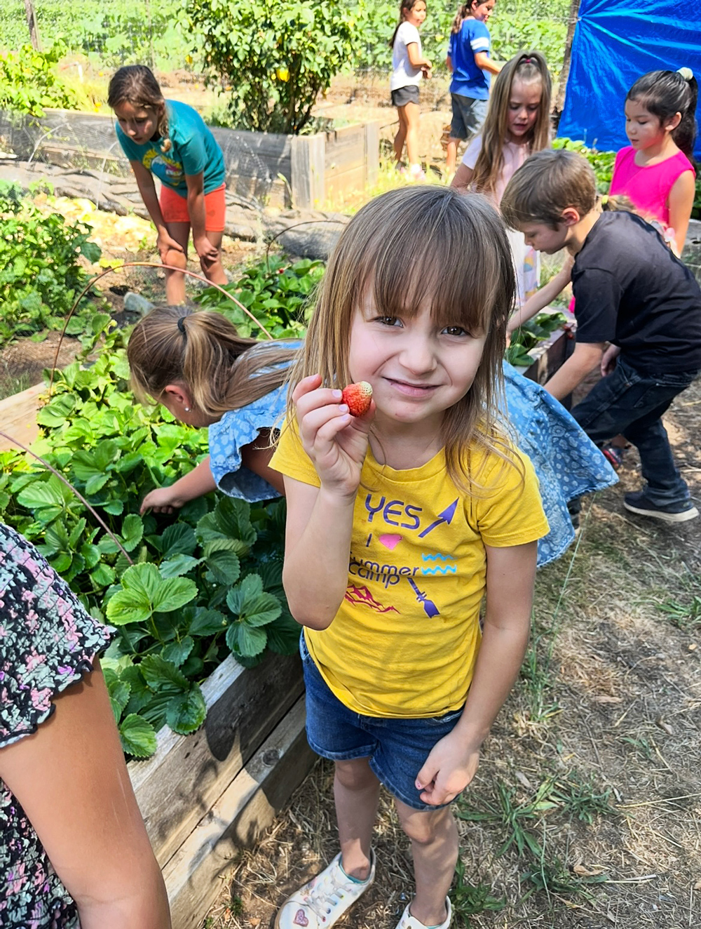 Farm to School – YES Charter Academy